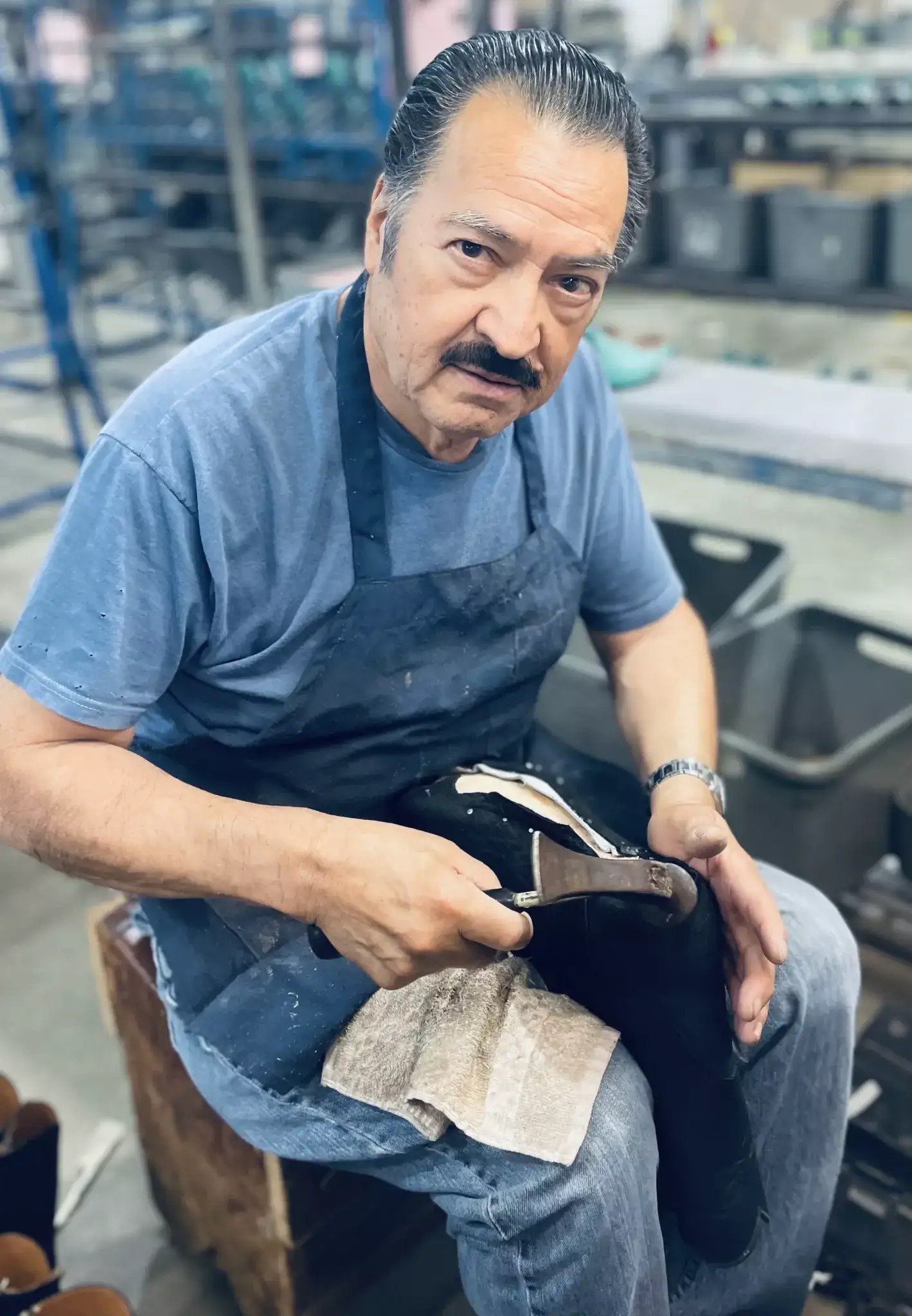 Meet the Kemo Sabe Family